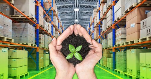 ¿Qué es la logistica verde? | Embalia